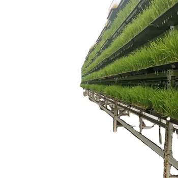 Multi Layers Fodder Container Hydroponics Barley Fodder Forage Grow ...