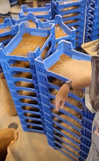 Customized Size Stackable Mealworm Breeding Tray Plastic Bsf Tray ...