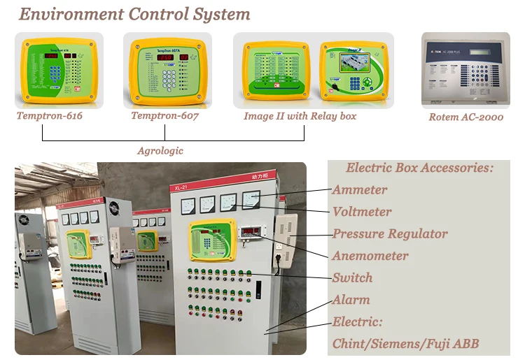 Automatic Chicken Farming Setup - Broiler System Equipment