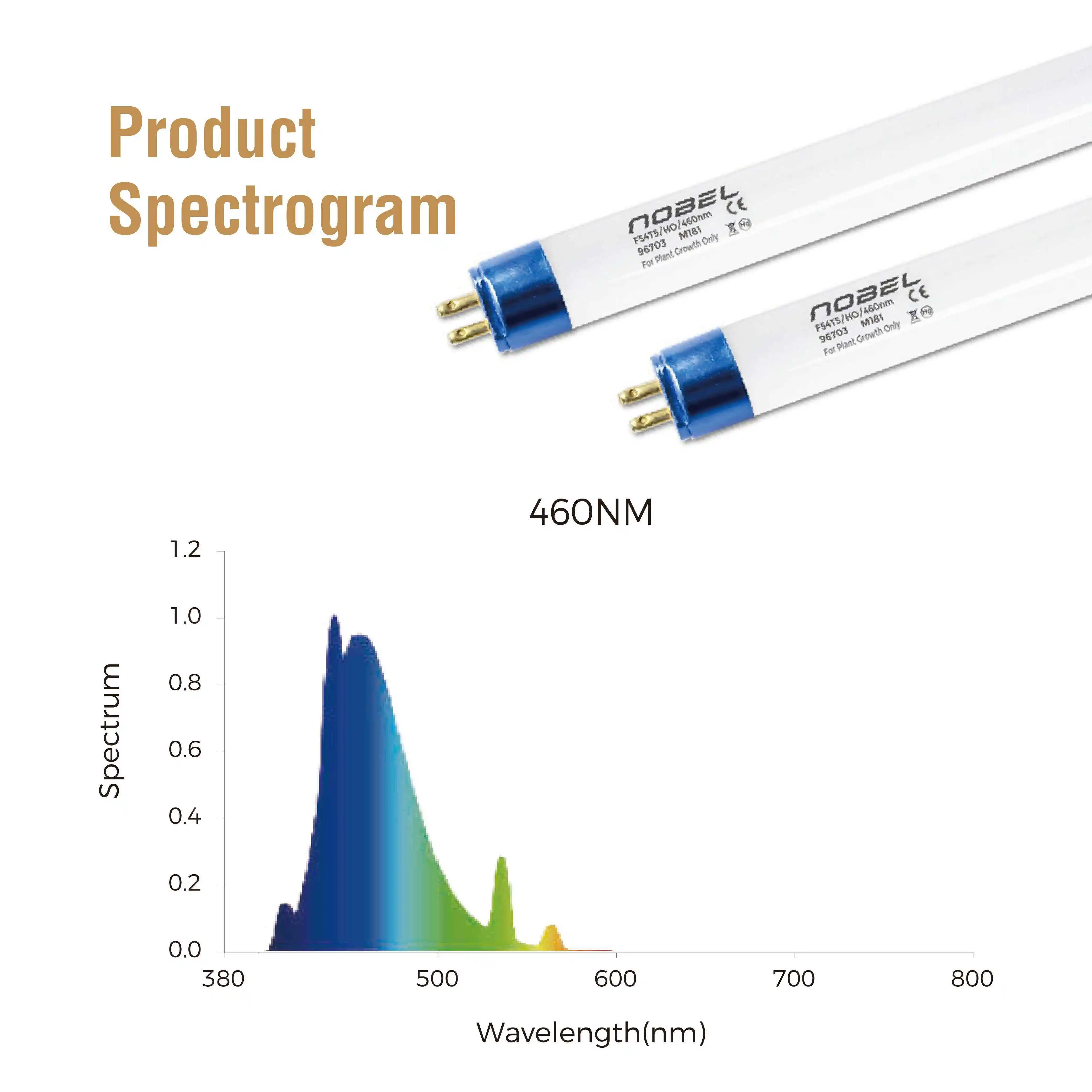 Alibaba.com: 2024 T5 22W Circular Fluorescent Lamp, 14W 6400K Lighting ...