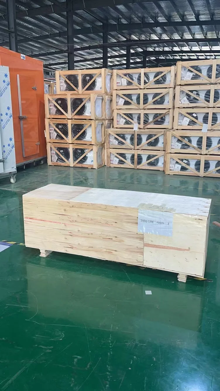 Small Cold Storage Room with Condenser Unit for Container Refrigeration ...