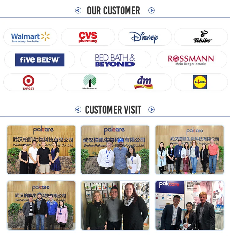 Pakcare Electric Heating Pad - Relief for Lower Back Pain