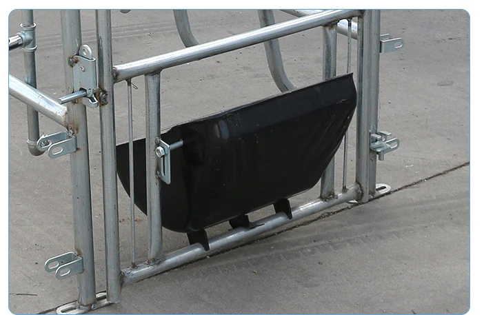 Sow Gestation Cages - Durable & Efficient Pig Farming Equipment