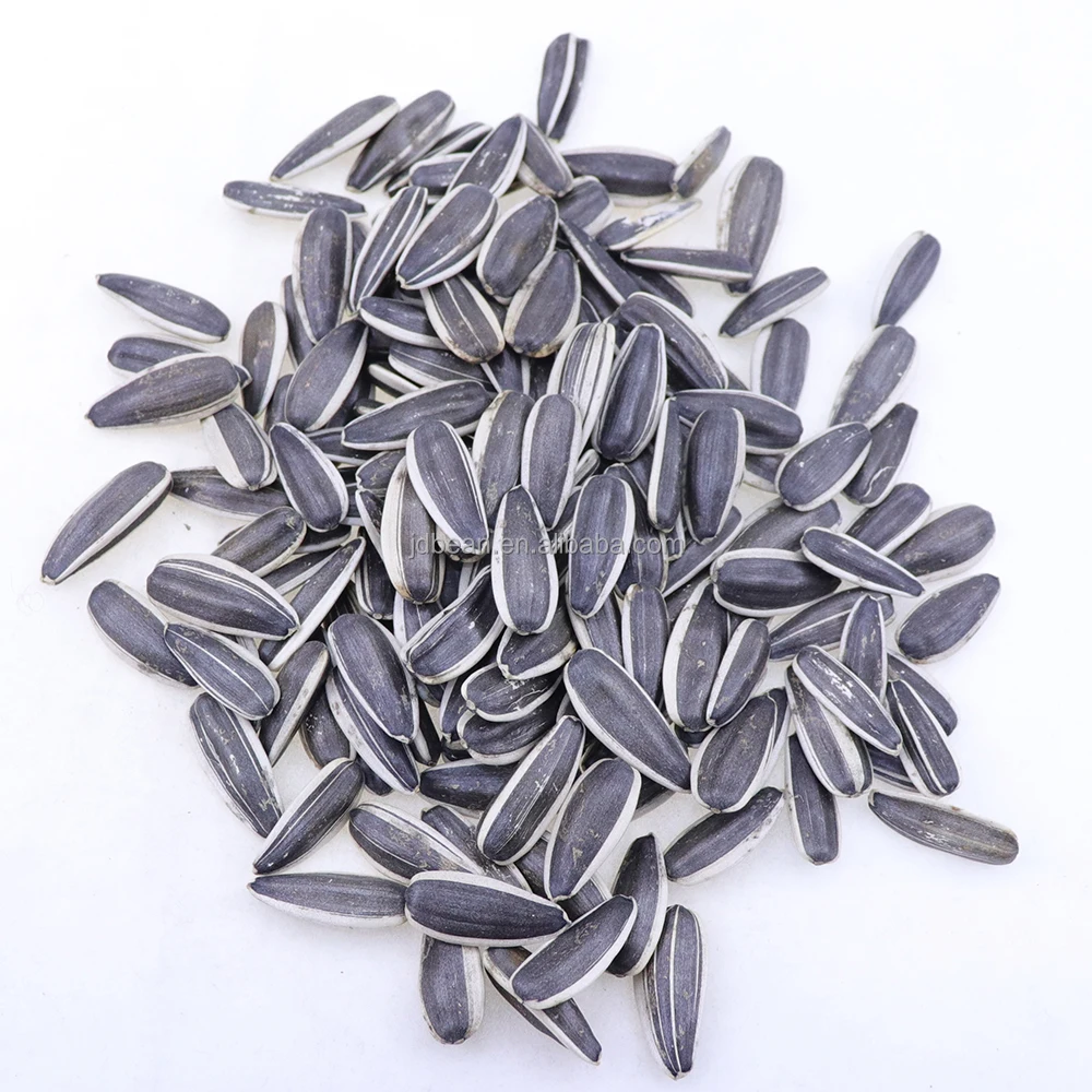 Alibaba.com: Nihewan 170 T6 hybrid sunflower seeds, 160-170 g/1000 ...