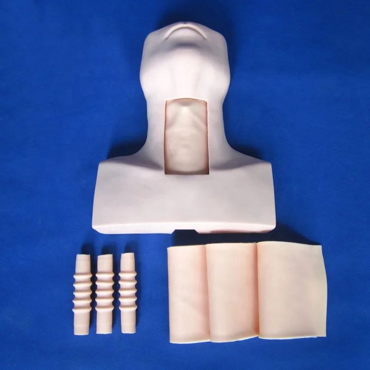 Hot Airway Management Trainer For Doctors Tracheostomy Simulator - Buy ...