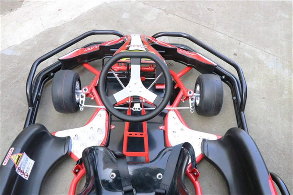 Professional 200cc Gas Fuel Petrol Gasolene Engine Electric Off Road F1 ...