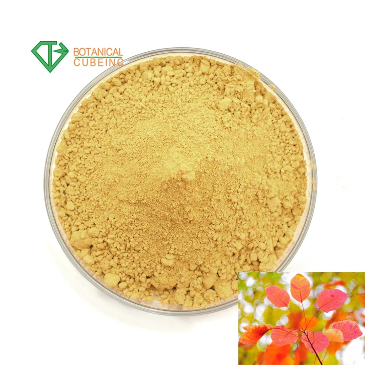 Natural Plant Cotinus Coggygria Extract Powder With Fisetin 98% - Buy ...