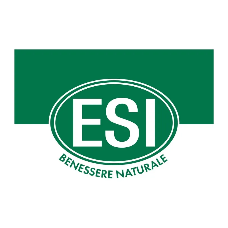 Company Overview - ESI S.r.l.