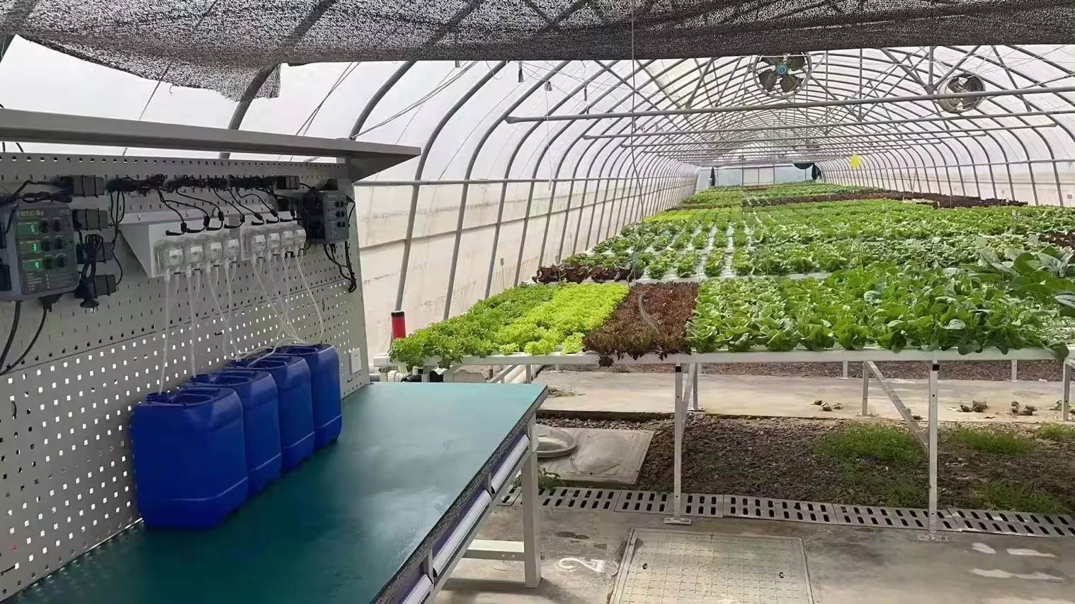 Pro-leaf PH&EC Factory Direct Supply Greenhouse Equipment