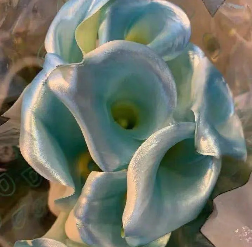 Aeropak 400ml Aerosol Flower Floral Spray Paint - Customizable Colors