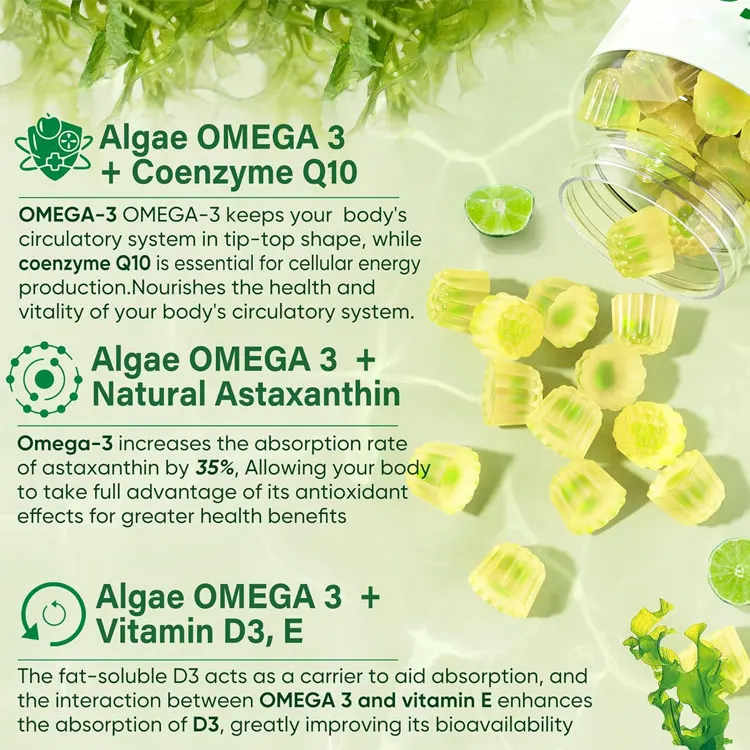 Sugar Free Plant-Based Algal Oil Gummies Algae 2000mg Omega 3 Gummies ...