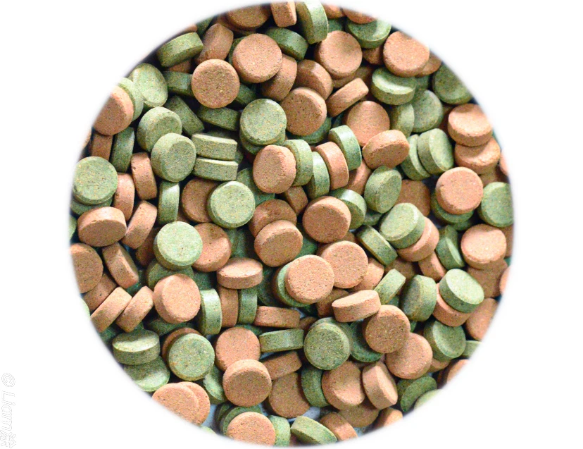 Support Customized High-nutrient And High-protein Tablets For Fish ...