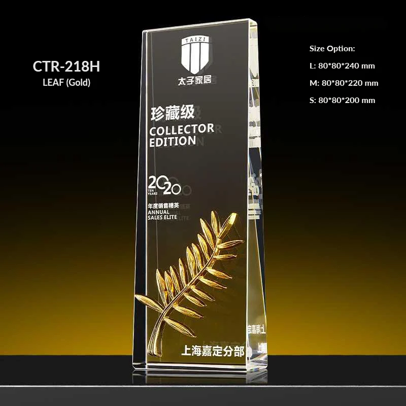 Custom Inclined K9 Crystal Trophy Awards - Engraving Glass