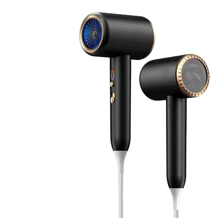 Professional Digital Hair Dryer And Diffuser 2400w Blow Dryer Blue Light Ionic Hair Dryer 6 Heat ...