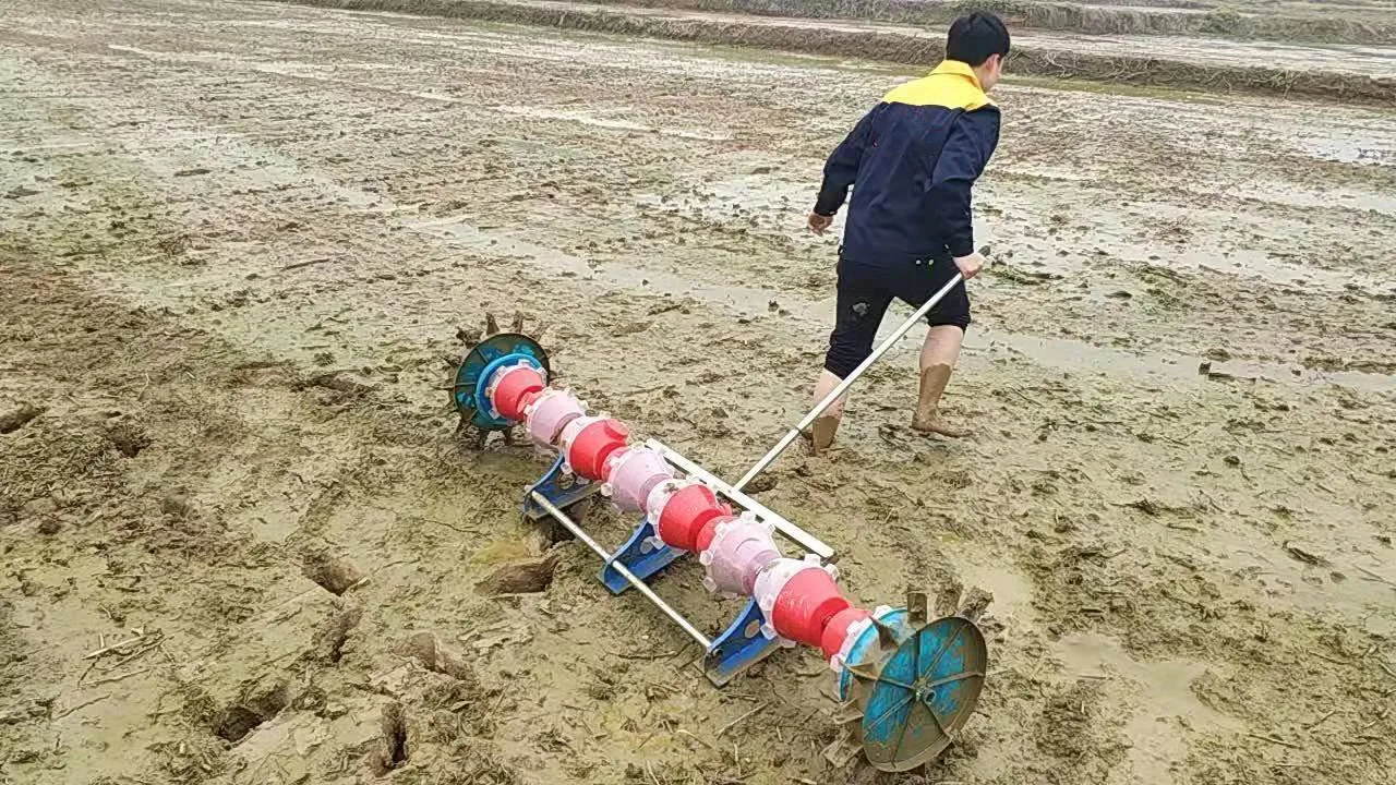 Efficient Rice Paddy Planting with ZFTOPA Transplanter