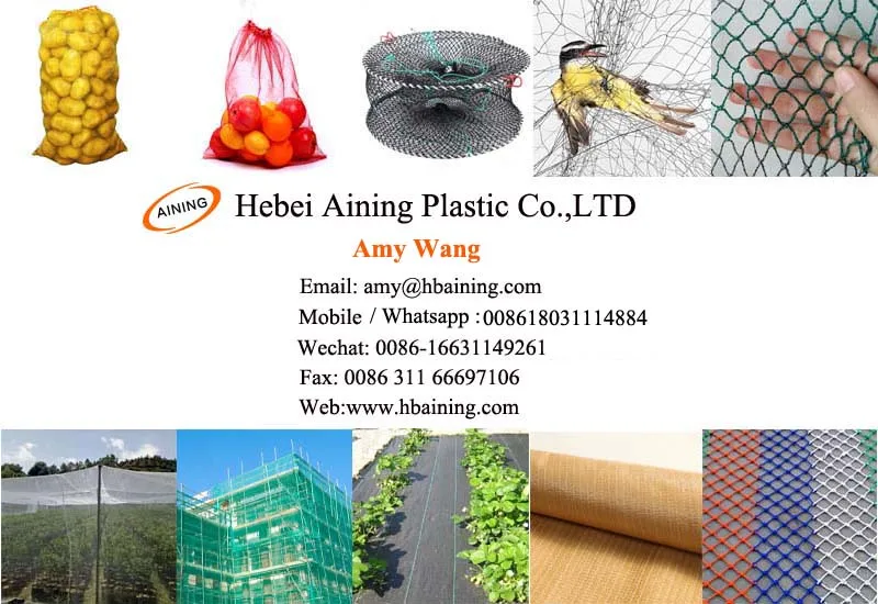 Scallop Hatchery Lantern Scallop Culture Lantern Nets Shellfish-scallop ...