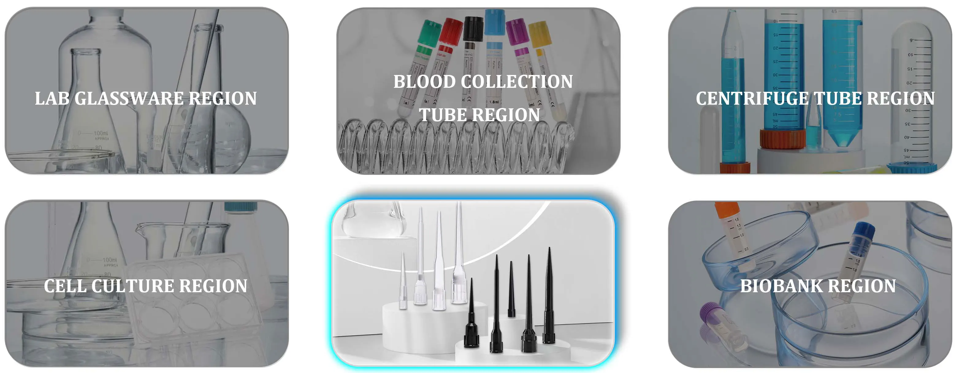 Fanen Box Packing 5ml Filter Sterilepipette Tips 50ul Plastic Filtered Micropipette Tips - Buy ...