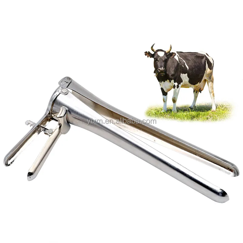 Veterinary Instrument - Animal Vaginal Dilator Carbon Steel