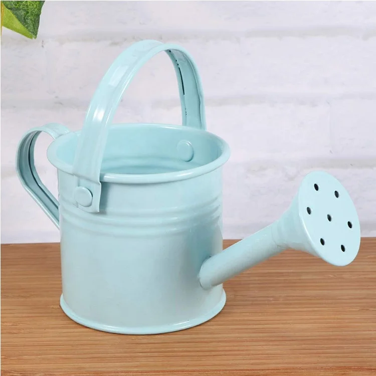 Decorative Watering Bucket Metal Kids Watering Can Small Garden Water ...