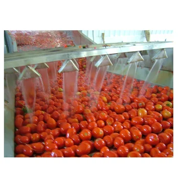 Professional Factory Tomato Paste Processing Plant Tomato Paste Making ...