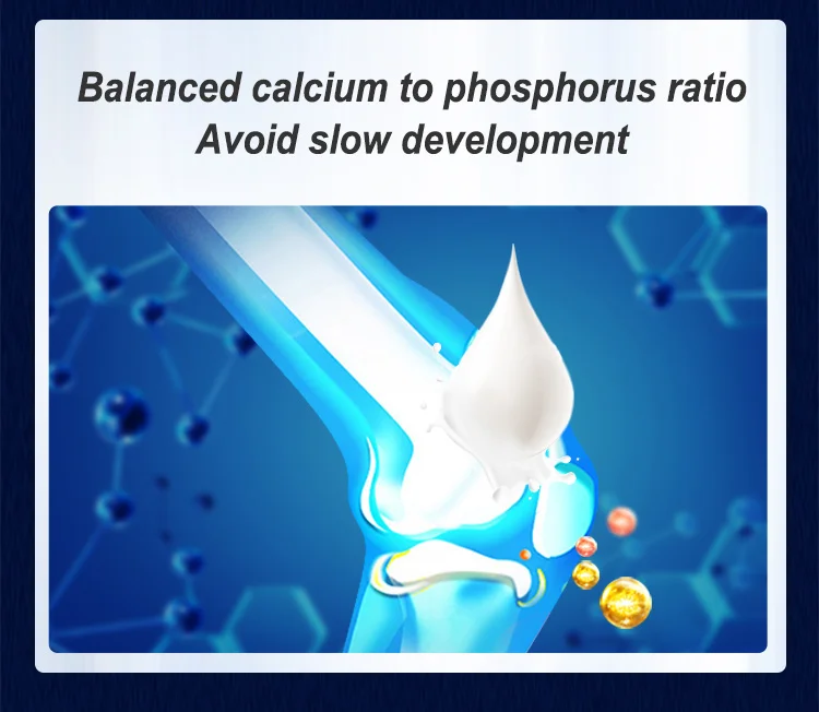 High Quality Feed Premix Hen Lay Poultry Chicken Layer Feed Premix ...