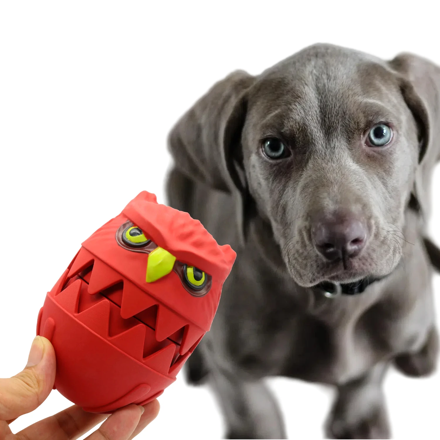 Custom Eco-Friendly Natural Rubber Dog Puzzle Toys Interactive Owl ...