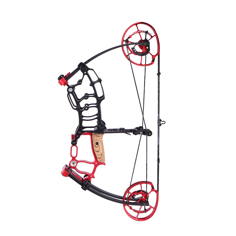 Compound Hunting Bows