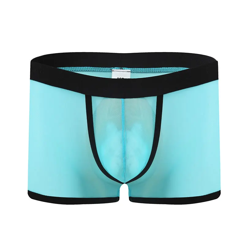 Men's Transparent Underwear - See-through Mesh Boxers