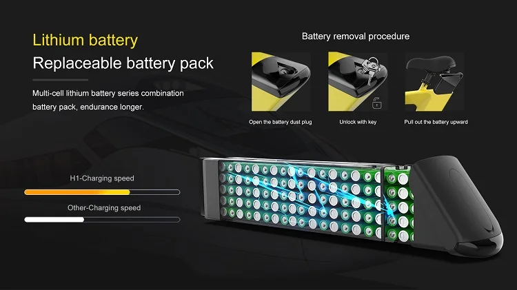 Flying Fish Mini E-Bike H1 - 25kmh Full Suspension Ebike