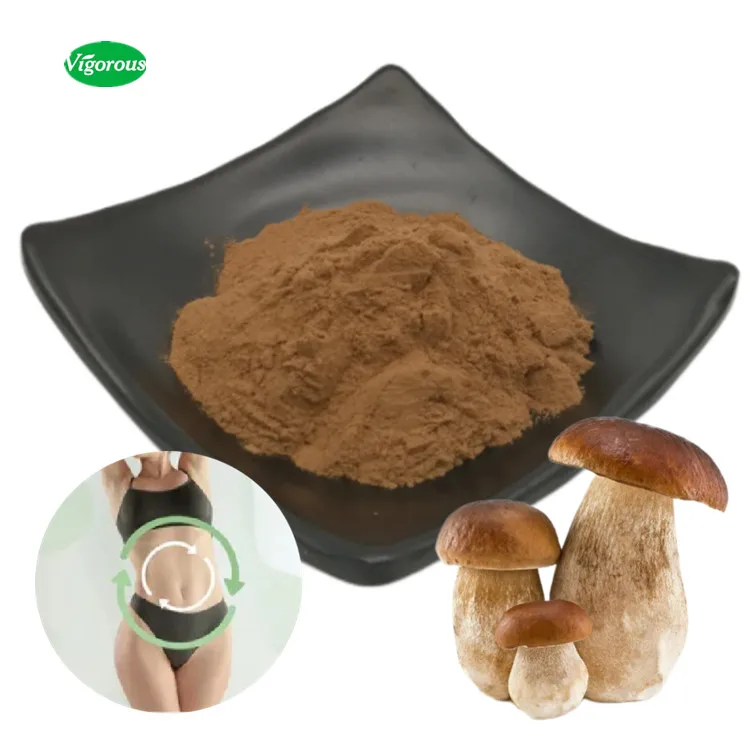 Natural 30%Polysaccharides Mushroom Powder Organic Boletus Edulis ...
