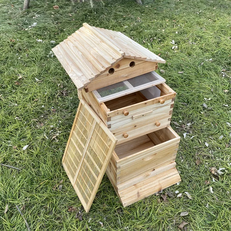 Pine or Fir Wood Langstroth Beehive - Quality & Durability