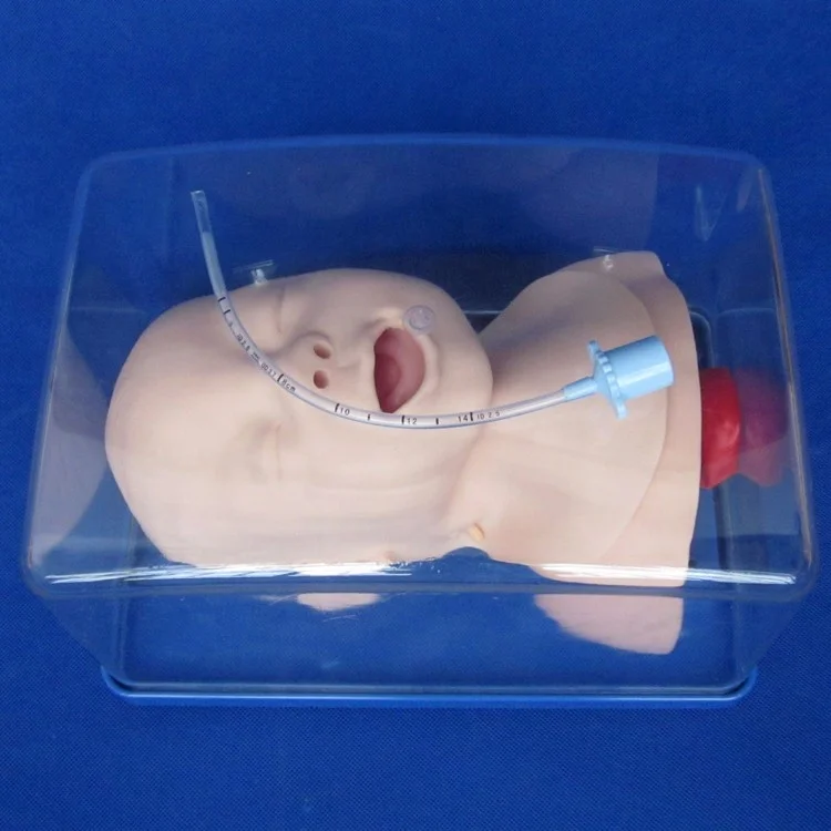 New Infant Trachea Intubation Airway Management Model Head And ...
