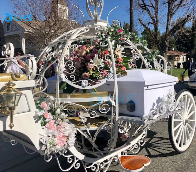 LHS Electric or Horse-Drawn Funeral Hearse - Durable & Stylish
