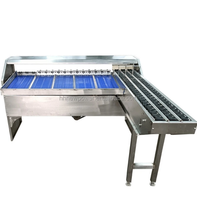 304 Stainless Steel Egg Grading Distinguishing Sorting Machine for ...