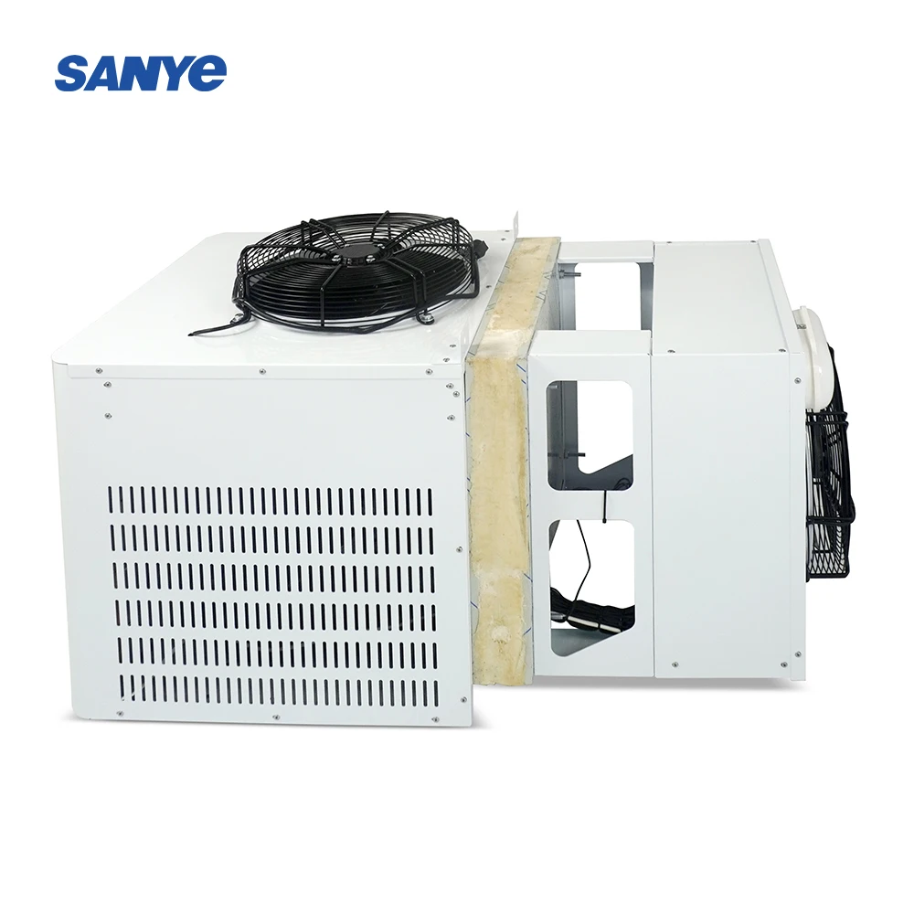 Cold Room Freezer Fast Cooling Freezing Units 220v110v Monoblock ...