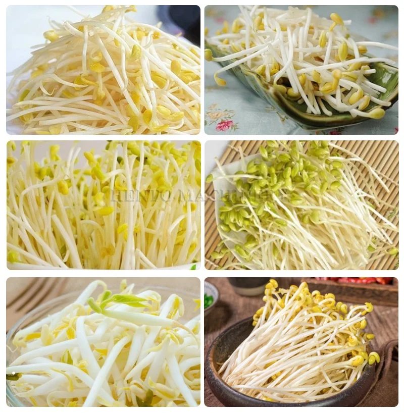 Hot Sale Automatic Bean Sprout Wash Machine / Bean Sprouts Cutting ...
