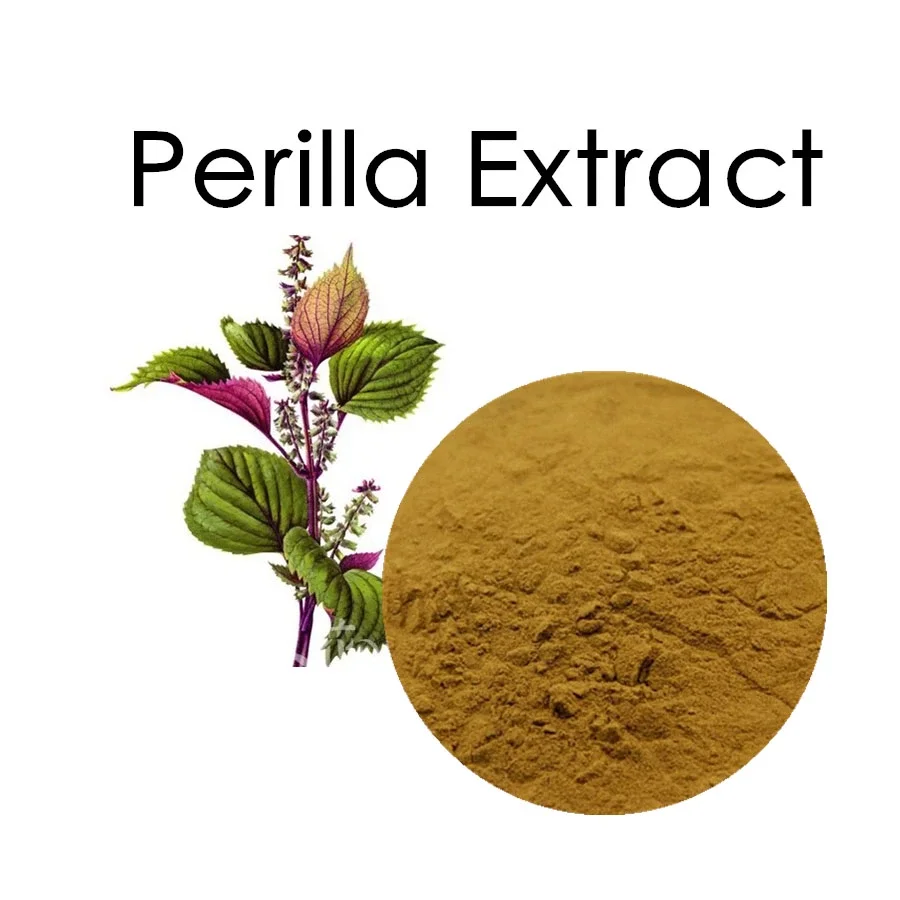 Perilla Seed Extract Perilla Leaf Powder Bulk Water Soluble Perilla ...