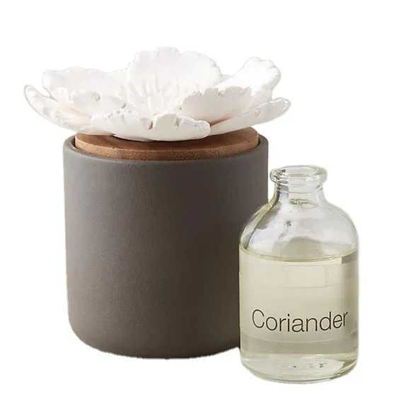 aroma plaster diffuser perfect gift set - 动态图库网