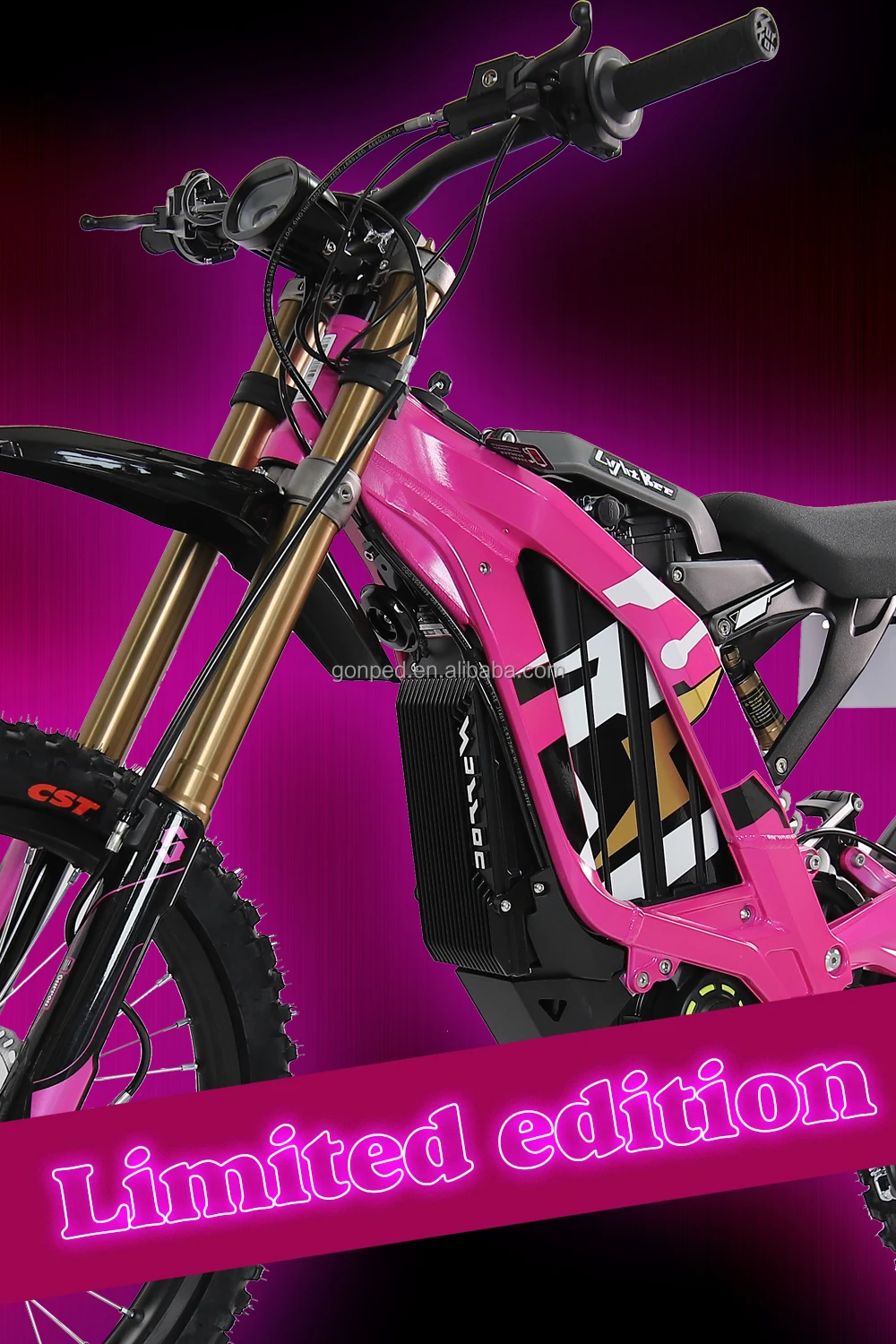 Surron 2025 Light Bee E-Bike Surron Performance Electric Dirt Bike ...