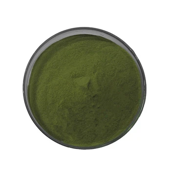 Hot Selling Euglena Algae Supplement Euglena Gracilis Powder Pure ...
