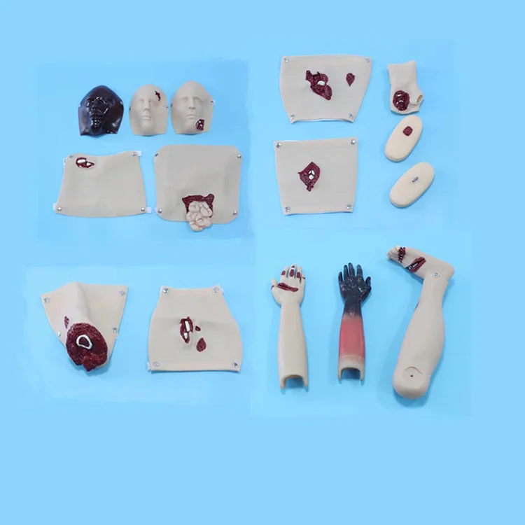 Medical Full Body Trauma Simulator - High Standard Training