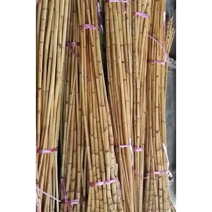 Best Selling Natural Raw Rattan Cane Raw Material Ch Global Agriculture ...
