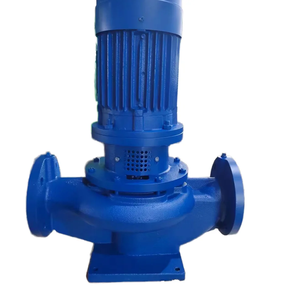 Eifel Vertical Inline Centrifugal Pool Pond Control Booster Single ...