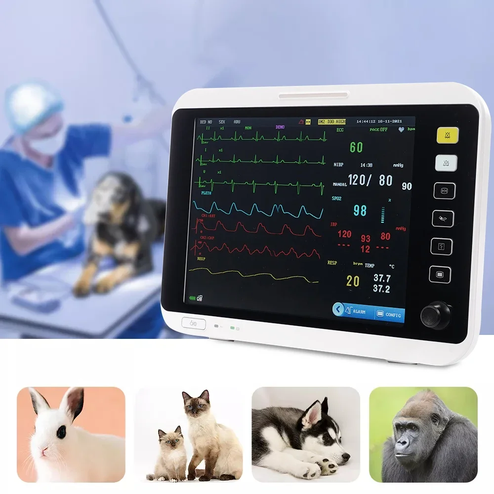 Rayman CE Ambulance Veterinary Multi Parameter Vital Sign Monitoring ...