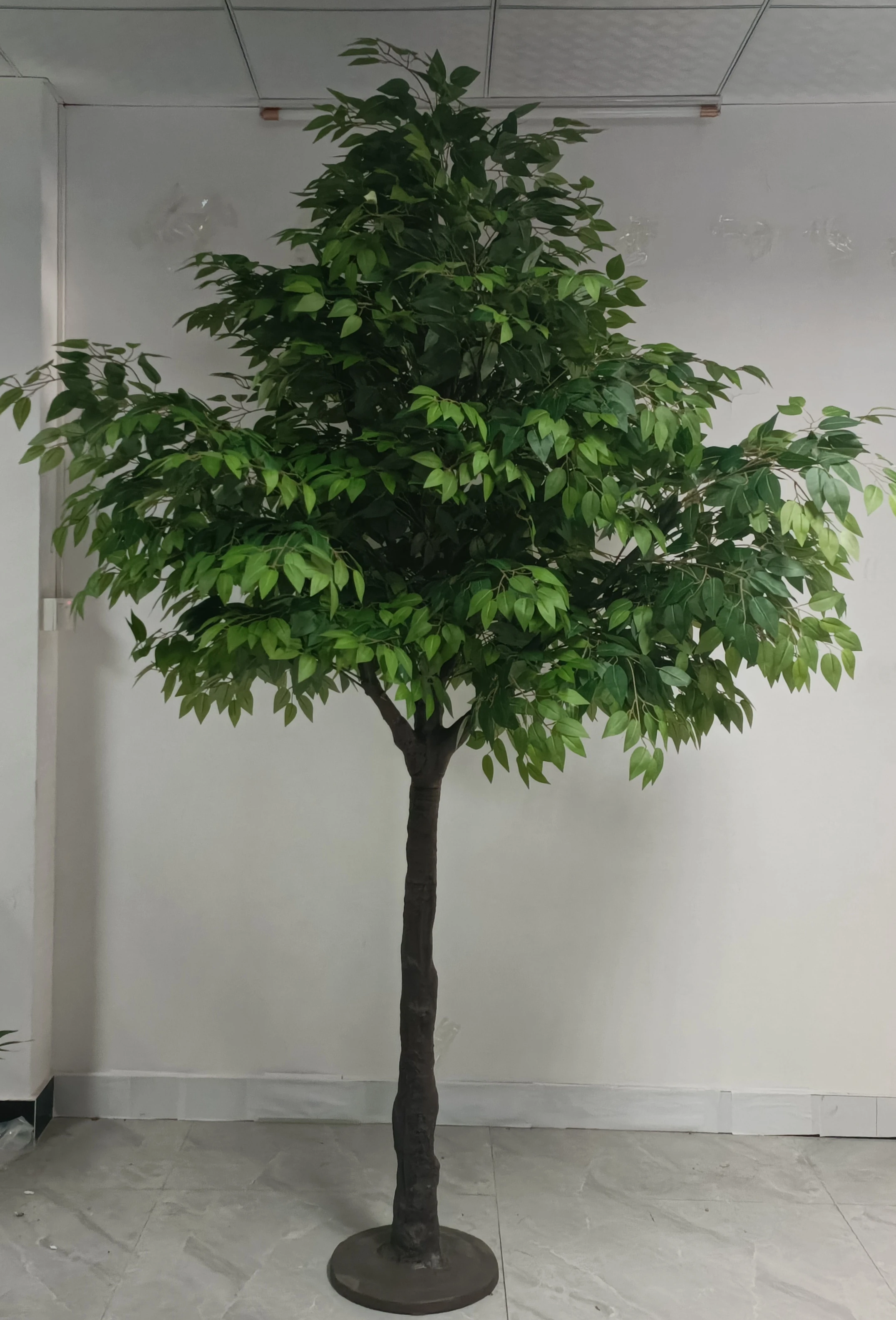 Landscaping & Gardening & Home Or Hotel Office Decoration 300cm Banyan ...