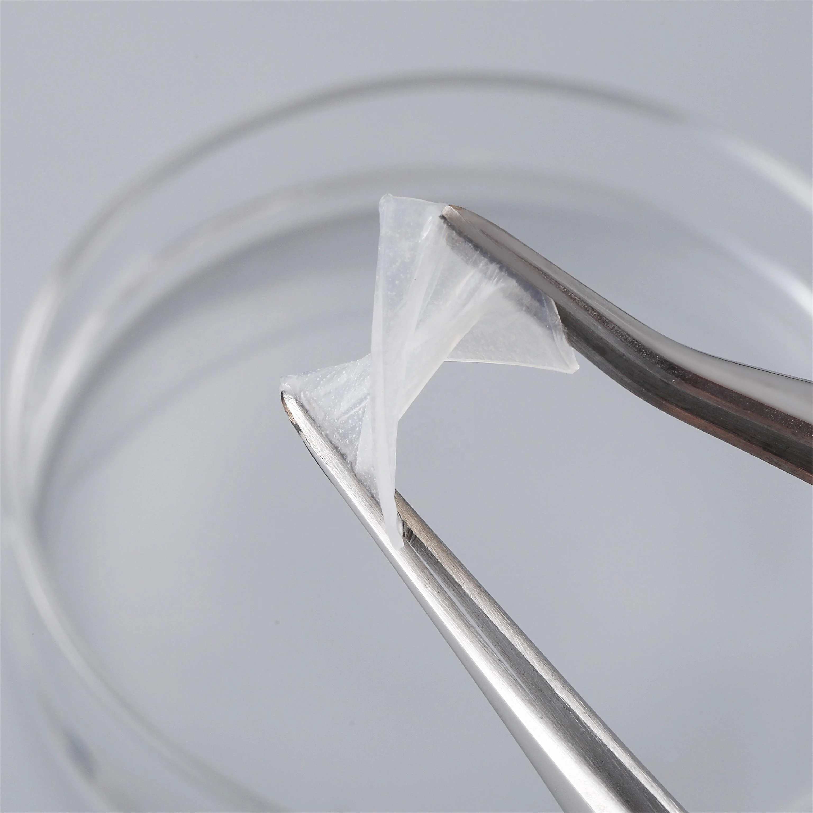 Bone Membrane (GBR) - Absorbable Collagen for Orthopedic Surgery