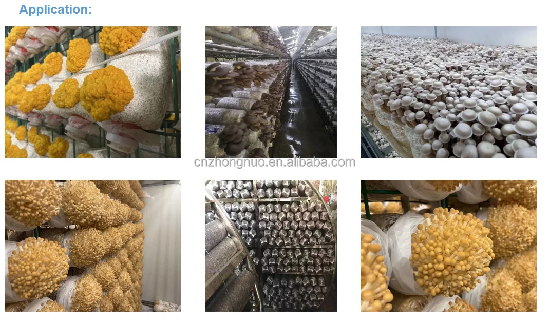 High Pressure Autoclave Spawn Growing Edible Fungus Shiitake Mushroom Grow Filter Bags ...