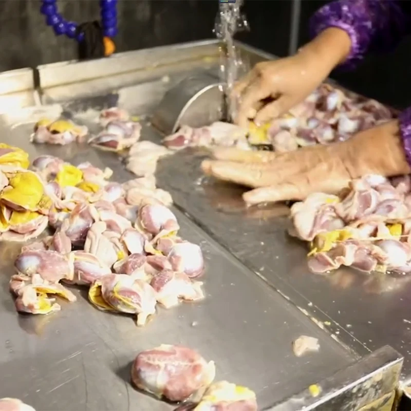 Automatic Chicken Thigh Deboning Machine Meat Processing Plant - Buy ...