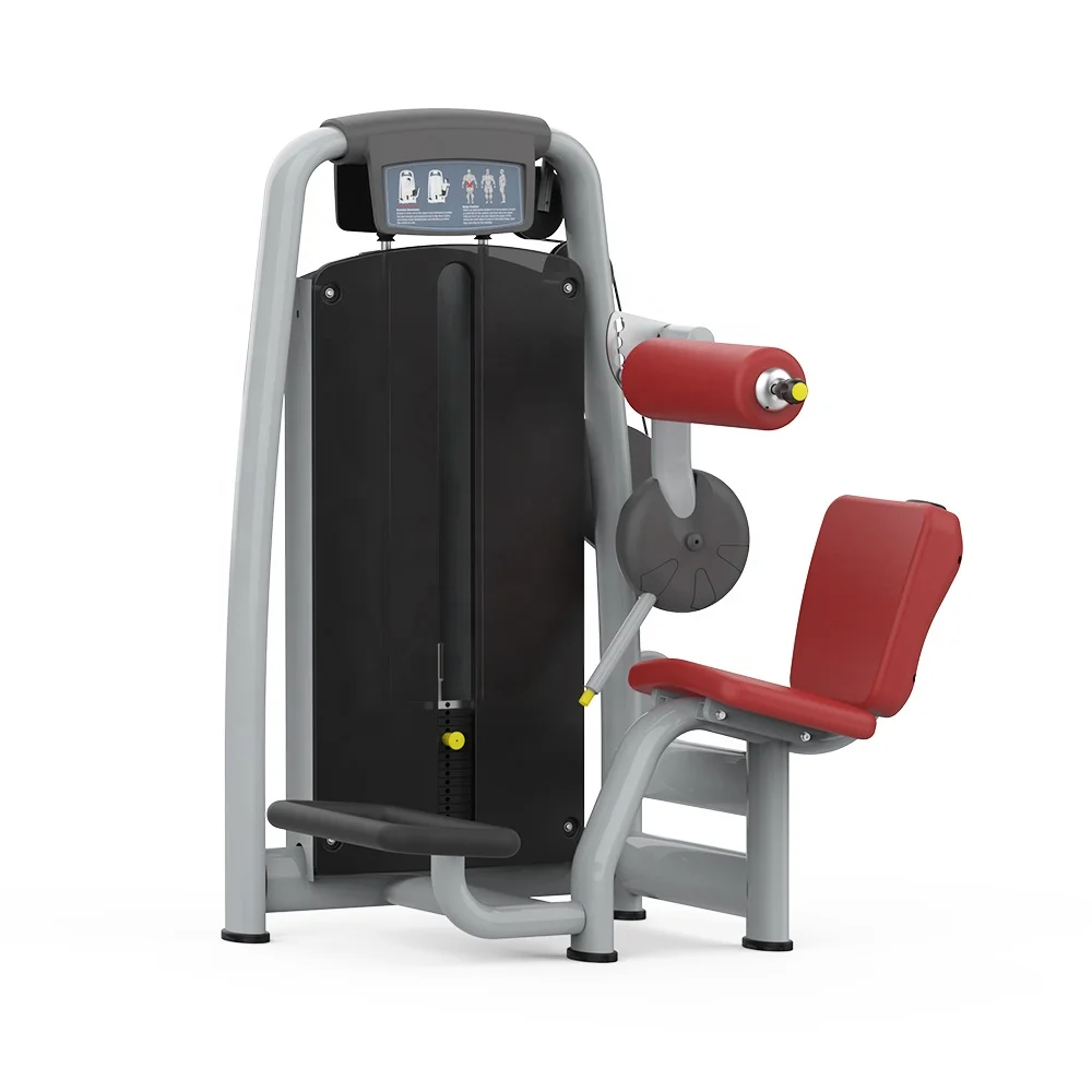 Lower Back Exercises Machine