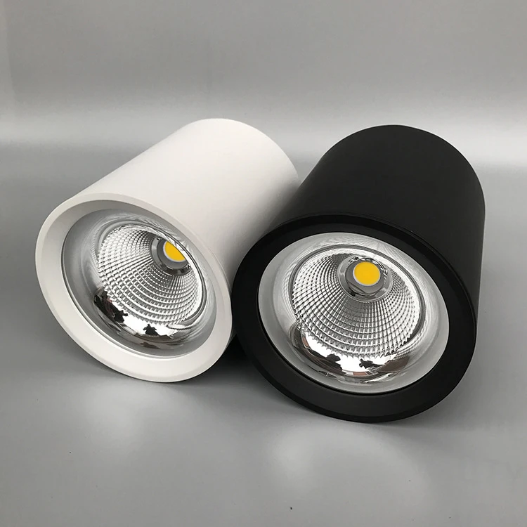 Ps6001a 130mm 20w Surface Downlight Cylinder Downlight With Dali ...